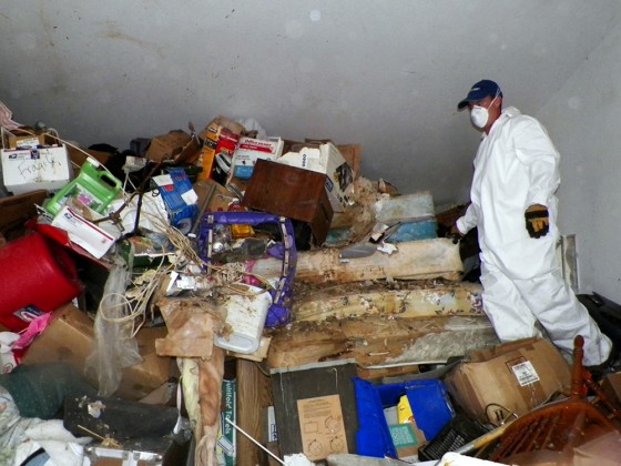 Not 'crazy cat ladies': Hoarding gets new diagnosis