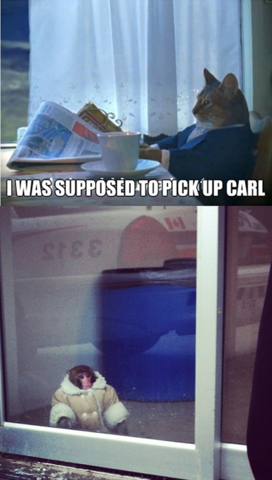 Pre-caffeine tech: Christmas lights, monkey meme!