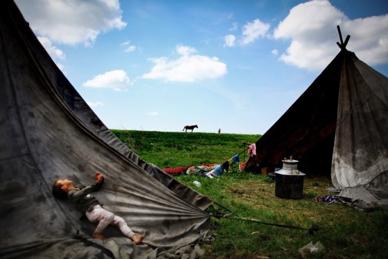 Fewer nomadic gypsies wander Romanian landscape