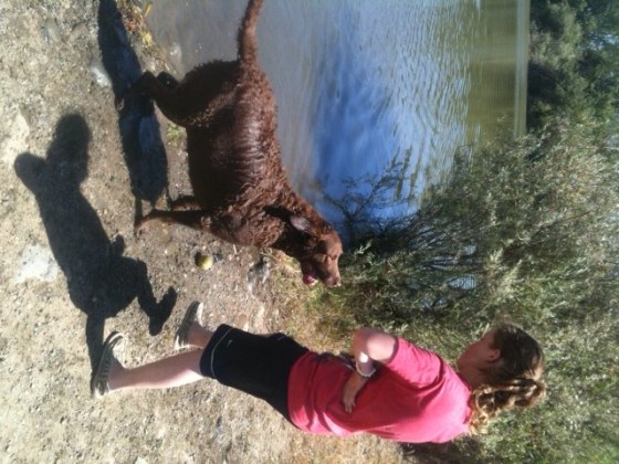 Another reason dogs rule: They know what you're thinking