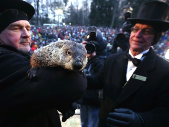 Bitter chill lingers but optimistic groundhog predicts early spring