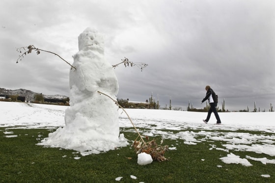 Snow-covered cactuses? Golf championship play stopped due to Arizona ...