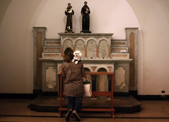 A pooch is blessed