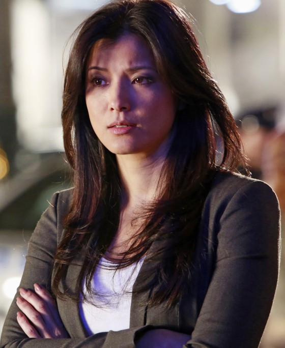 'Arrow' star Kelly Hu teases 'hanky-panky' with Esposito on 'Castle'