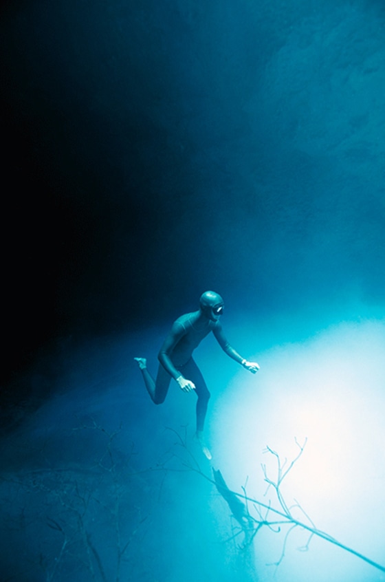 Captured Freediving Underneath Freediver Stig Severinsen Swims 662