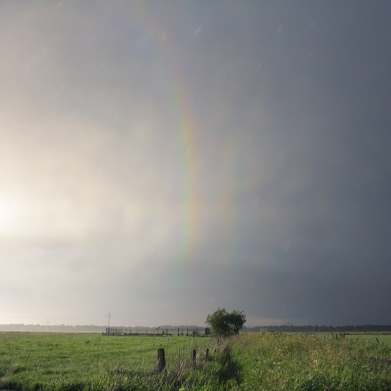 Whoa! It's a quadruple rainbow!
