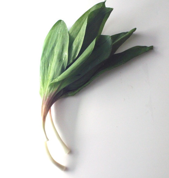 What's that vegetable? The elusive ramp