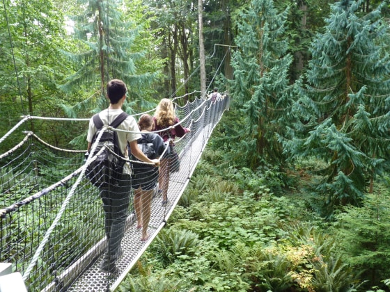 Getting your tree legs at B.C.'s Greenheart Canopy walkway
