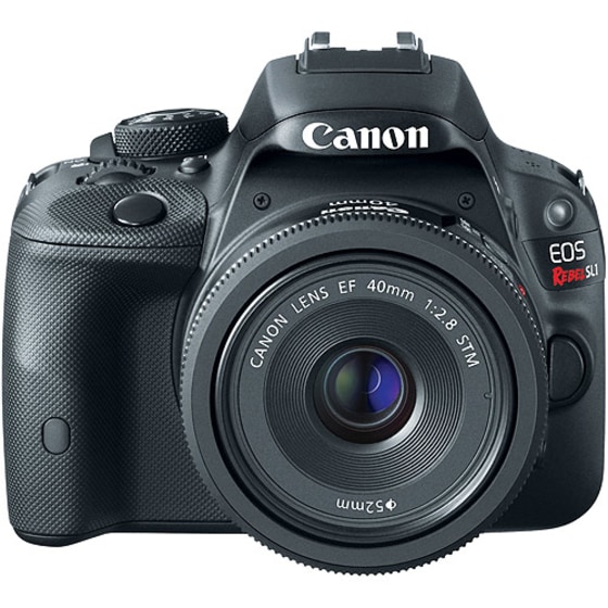 Cheapism: Best budget DSLRs and mirrorless cameras