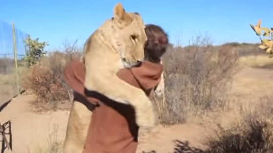 Man who rescued lion gets big, grateful hug in viral video