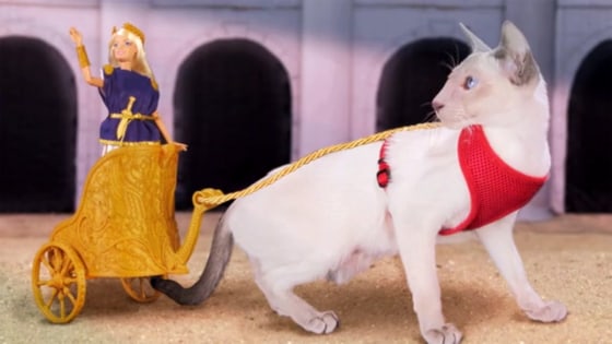 Gladiator Barbie? Kickstarter turns doll into Roman warrior