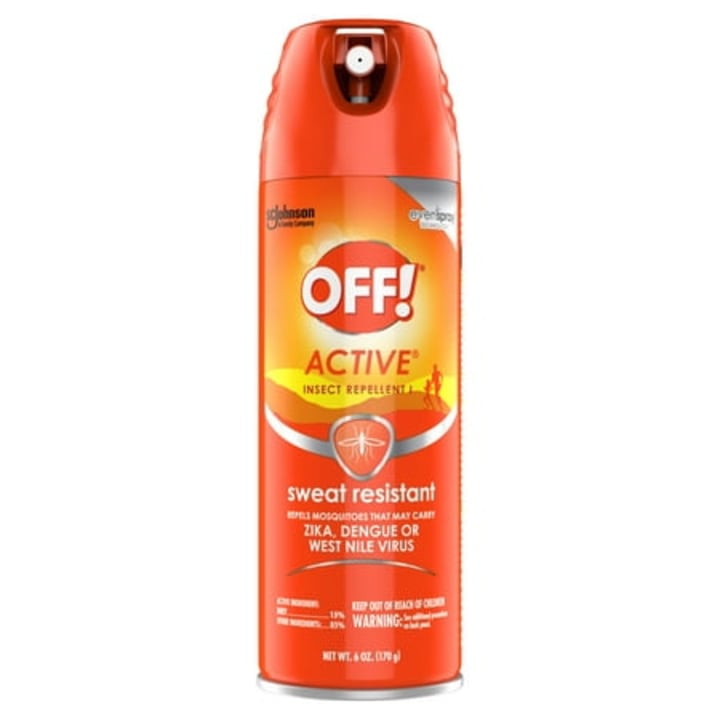 9 best insect repellents of 2024, according to experts