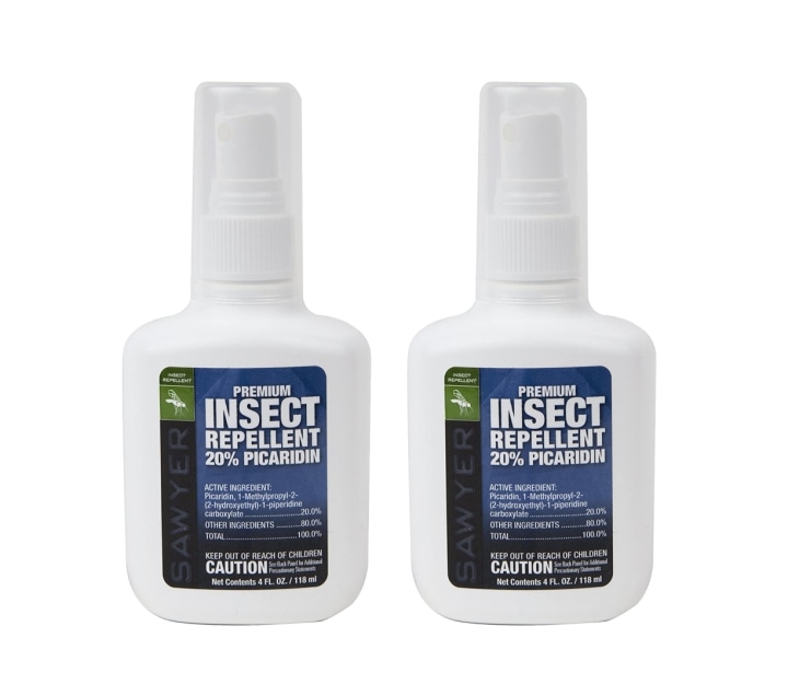 9 best insect repellents of 2024, according to experts