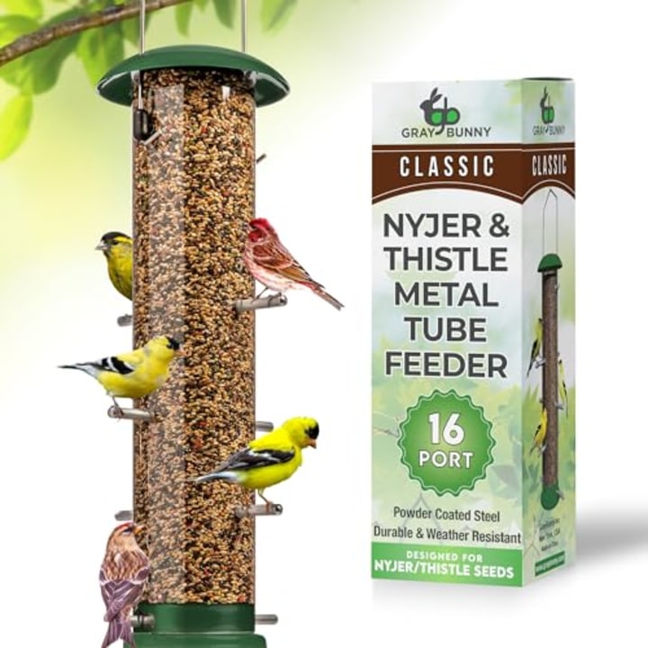 The best bird feeders in 2024, according to experts