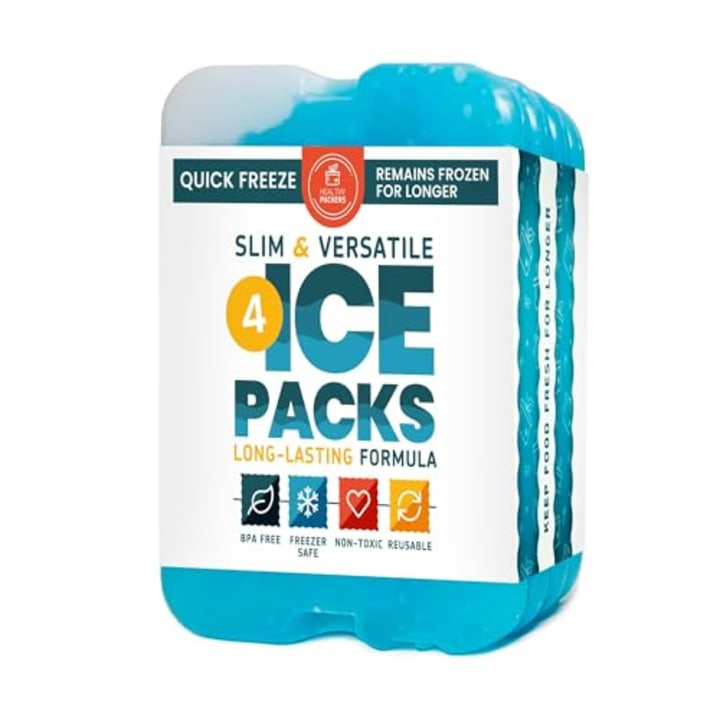 The 8 Best Ice Packs for Coolers in 2025 NBC Select