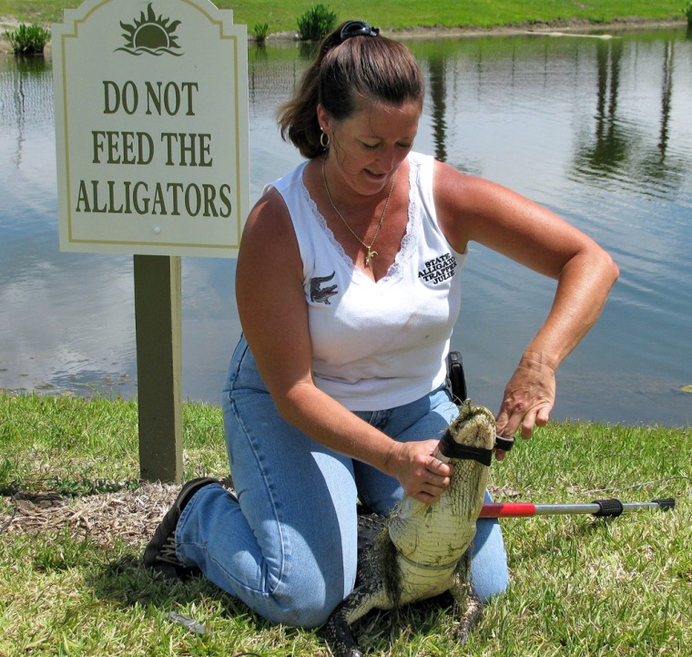 Fearless in Florida: Grandma targets gators