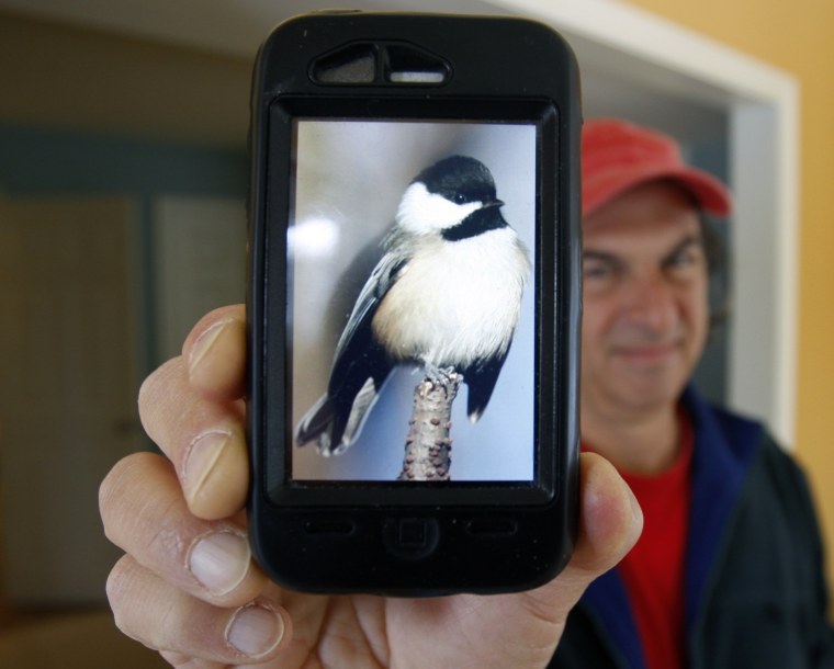 iPhone app lets you bird-watch on the go
