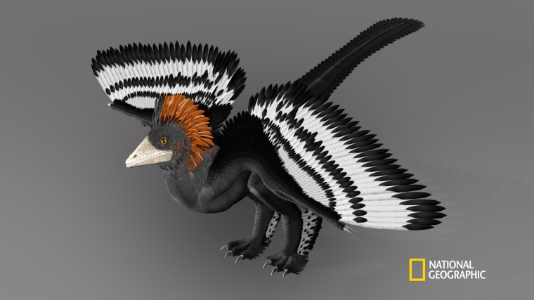 Ancient dinosaur had stripes, researchers say