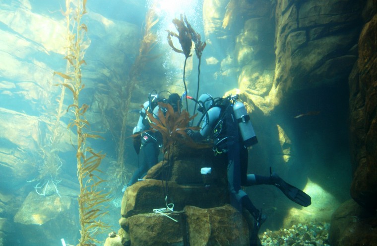 California museum celebrates ecosystems