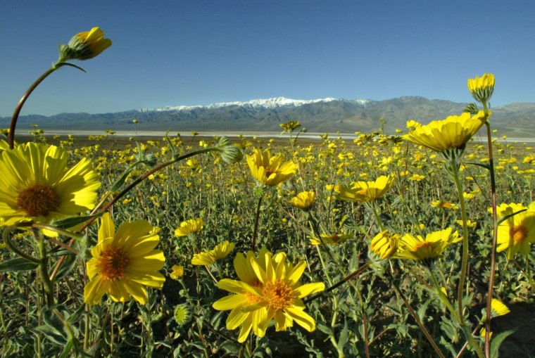 10 quick spring getaways