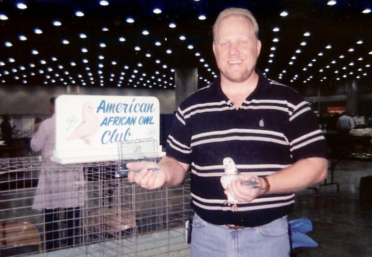 The humble pigeon soars into the spotlight