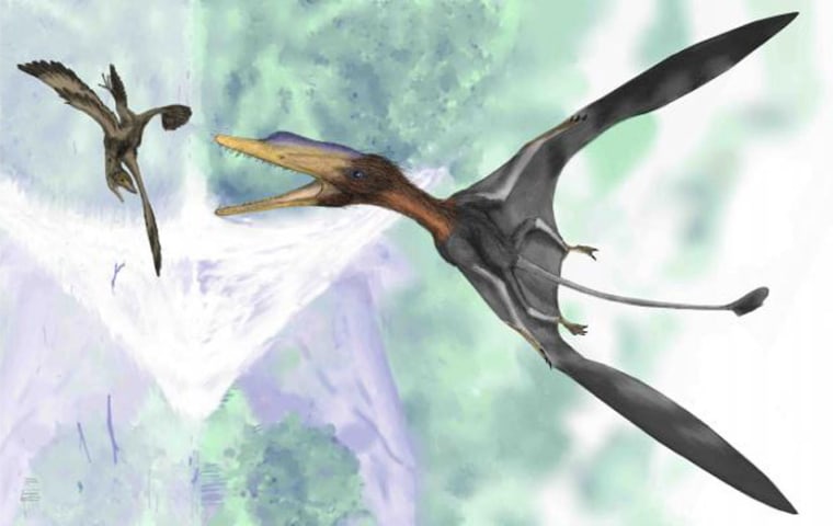 A 7-ounce dinosaur? It may be world's smallest