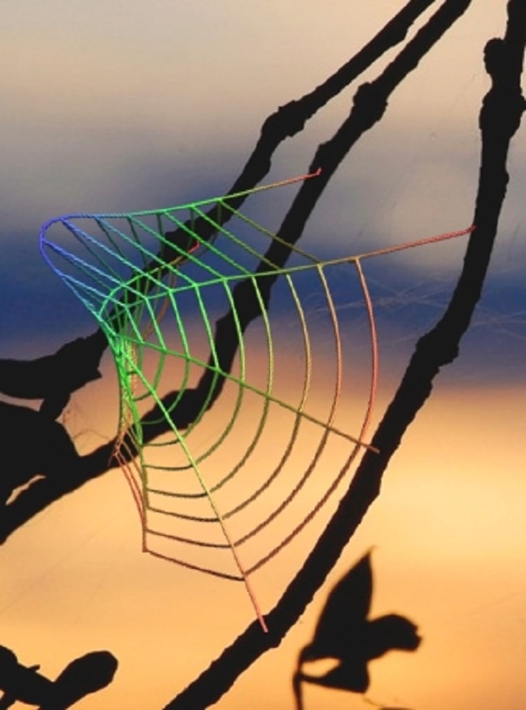 Spider's silk strands work together to keep a web intact
