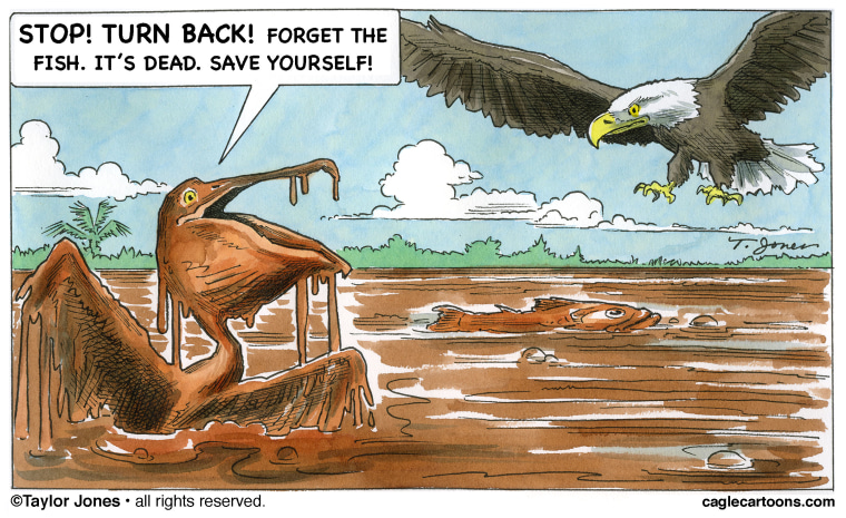 Cartoons: Cleaning up the Gulf