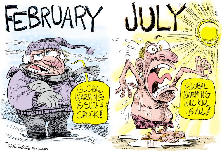 The Year in Review from msnbc.com' s cartoonist, Daryl Cagle