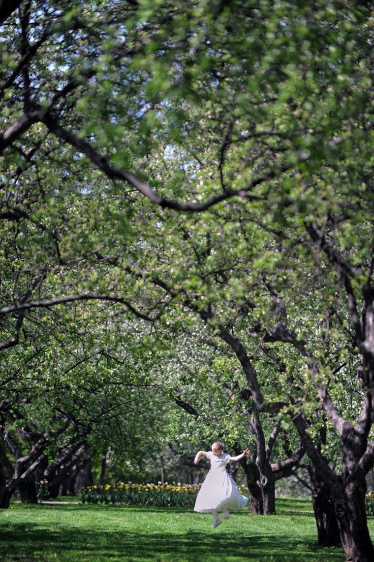 Springtime bliss