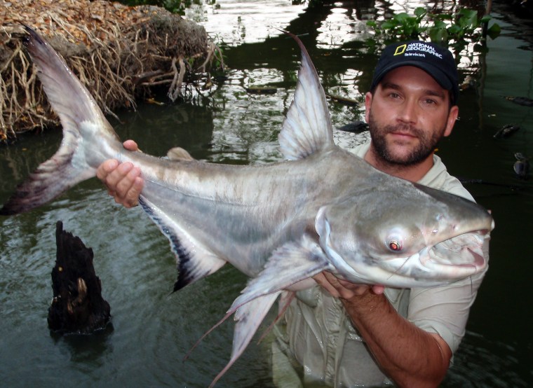 Monster fish
