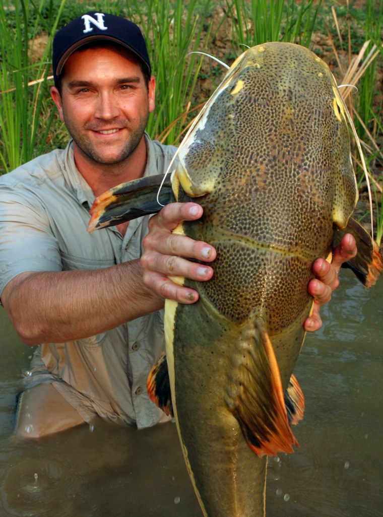 Monster fish