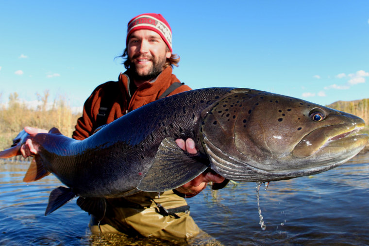 Monster fish