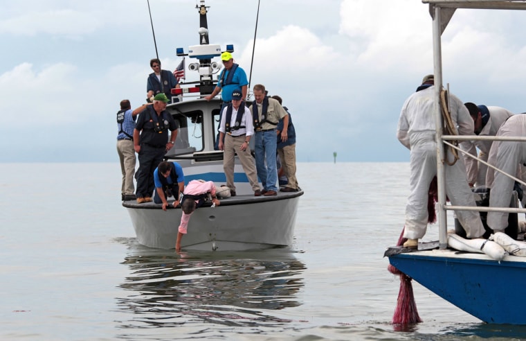 Deepwater Horizon rig oil hits land