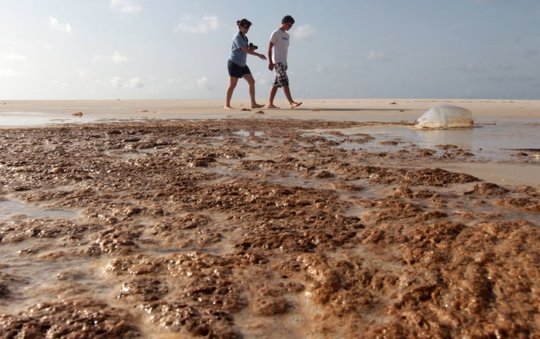 Deepwater Horizon rig oil hits land