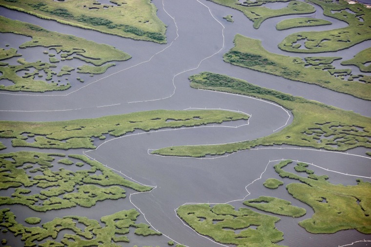 Deepwater Horizon rig oil hits land