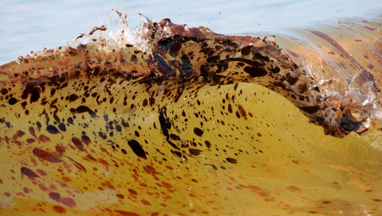 Deepwater Horizon rig oil hits land