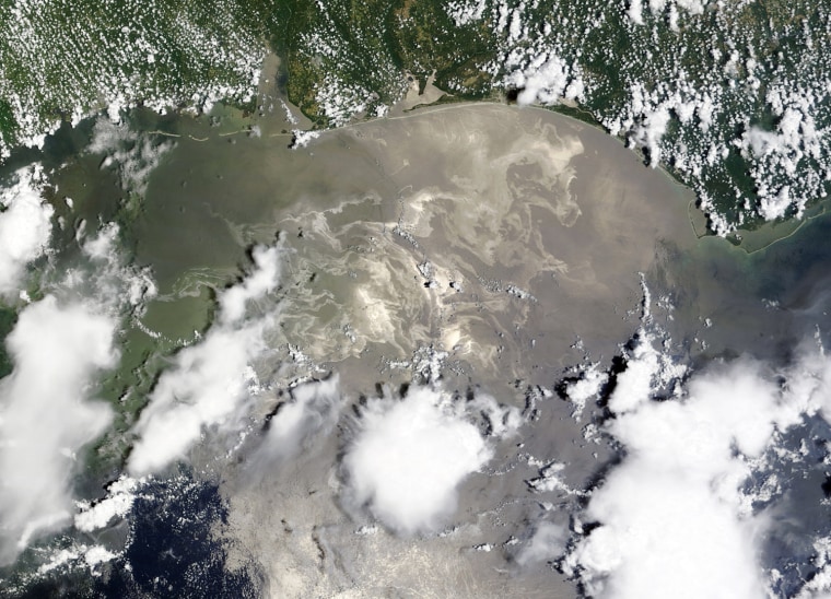 Deepwater Horizon rig oil hits land