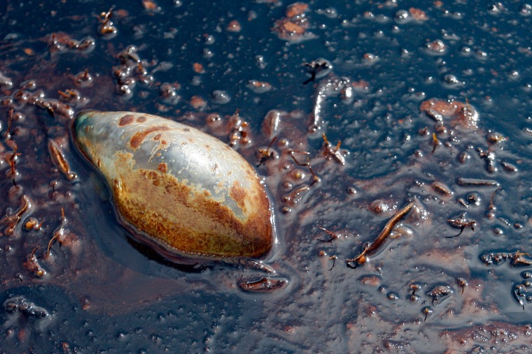 Deepwater Horizon rig oil spill
