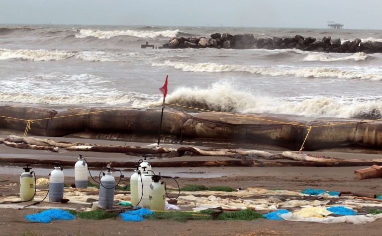 Hurricane Alex