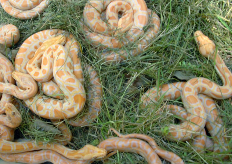 Animal Tracks: July 4 - 11