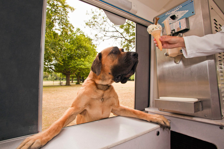 World’s first ice cream truck for dogs rolls out