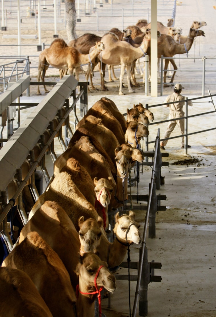 Drome-dairy gains traction