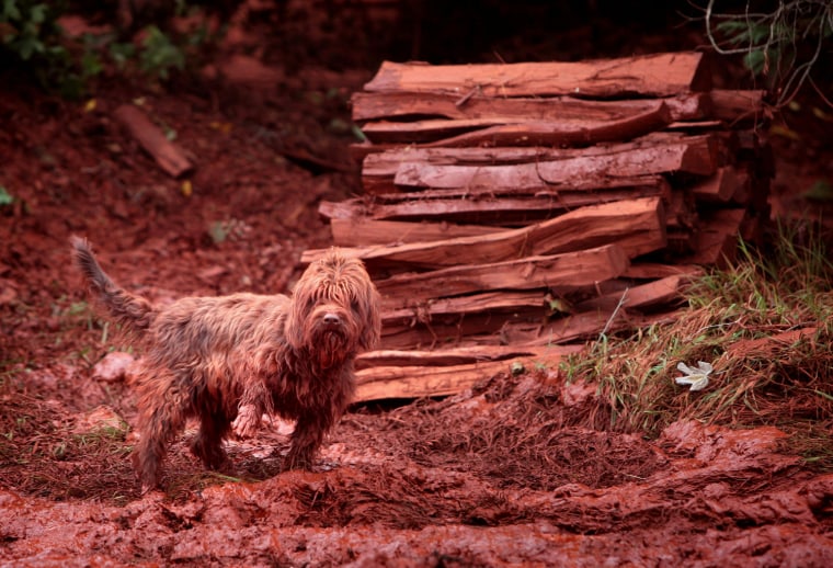 Toxic red sludge floods towns near Budapest
