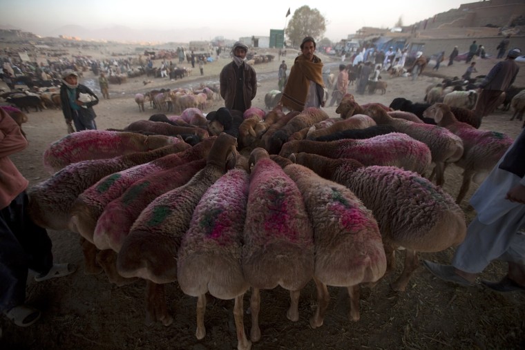 Pilgrimage to Mecca