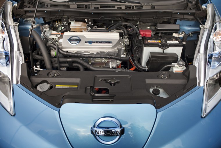 Life with an electric Leaf