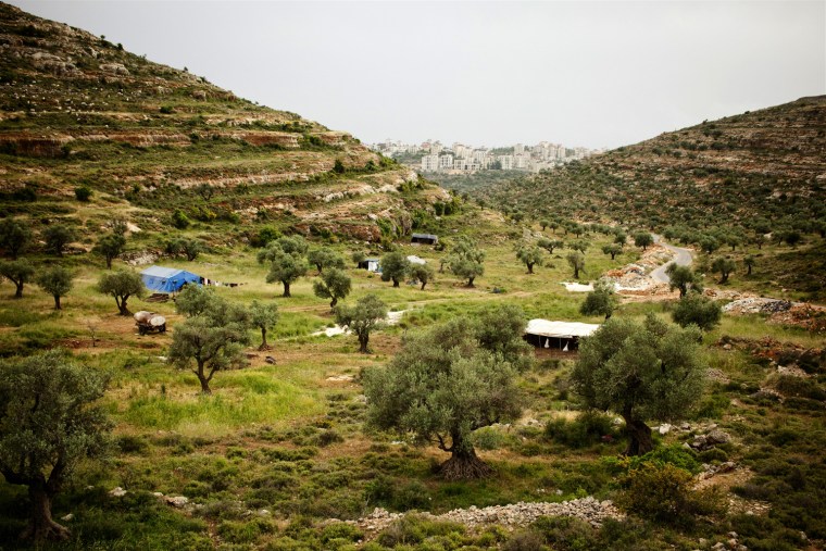 Ramallah: Portrait of a West Bank city
