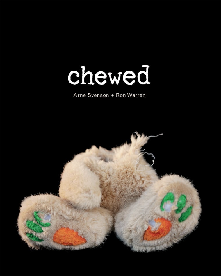 Chewed pet toys as works of art