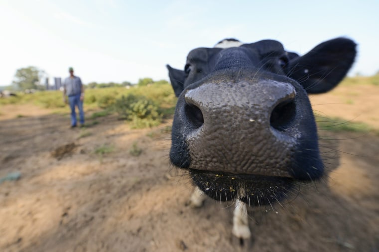 Drought hits the U.S. food basket