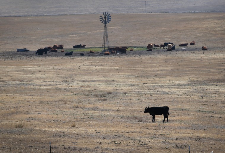 Drought hits the U.S. food basket